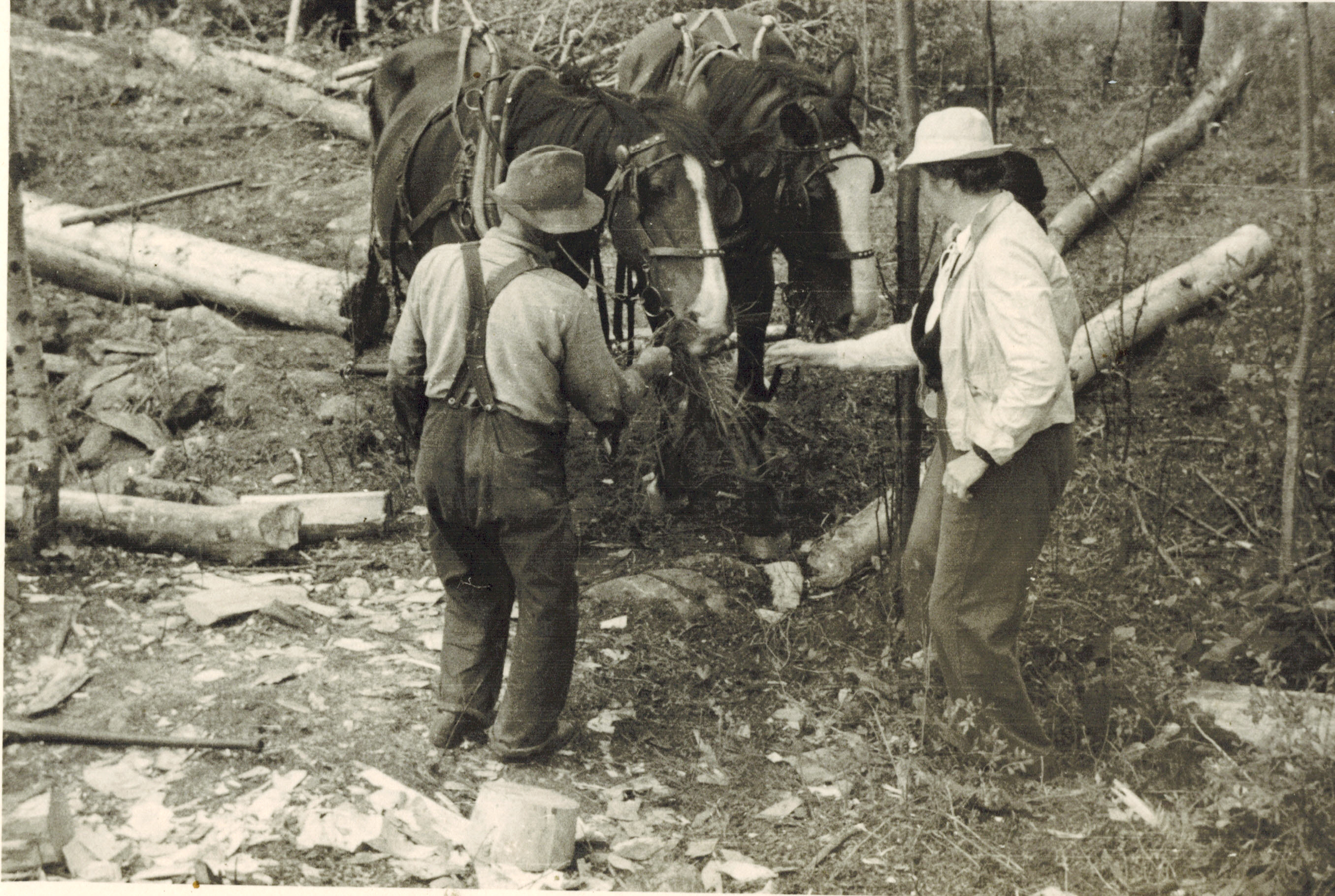 About Us – Bark Lake Leadership and Conference Centre